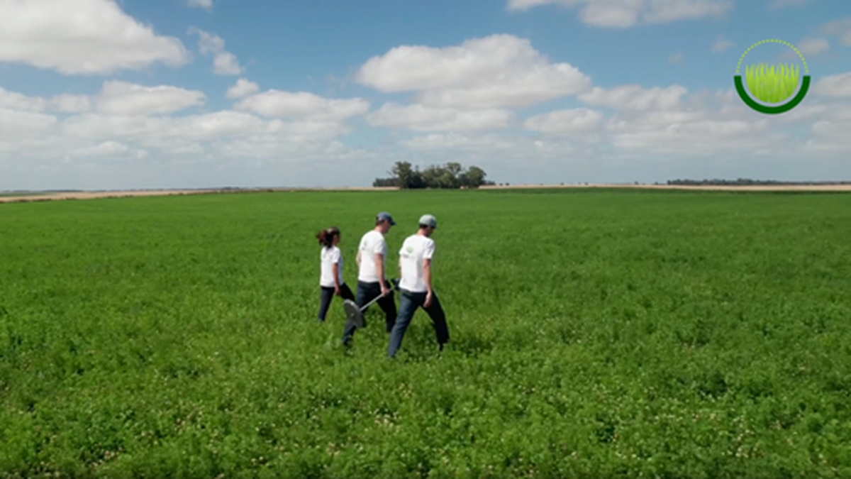 Ganadores de Legado 2025: innovación con impacto para transformar la salud y el agro en el Cono Sur