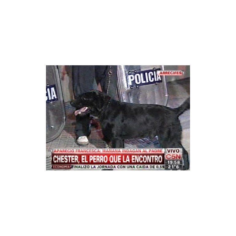 Chester, el perro que encontró a Francesca