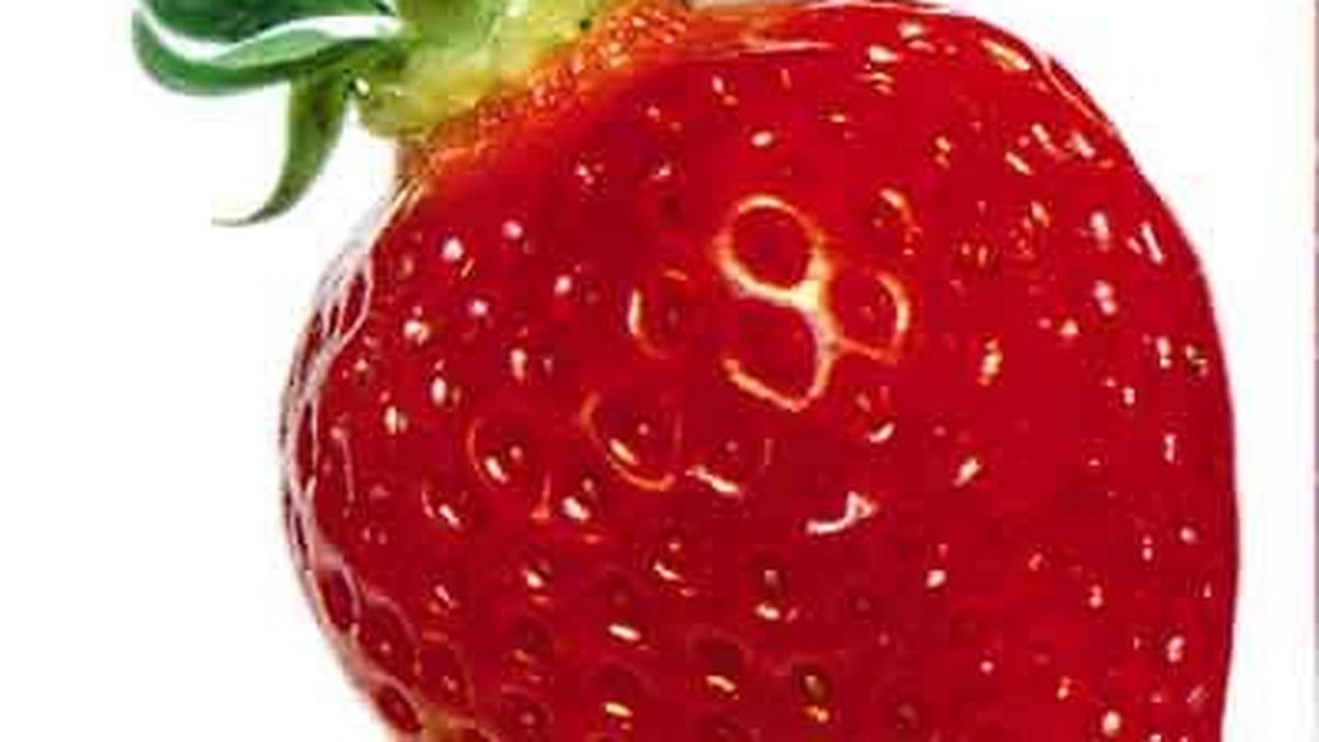 Las características de la frutilla