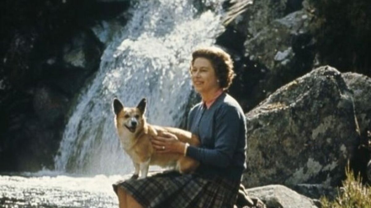 Reino Unido: perros corgi son furor tras la muerte de Isabel II