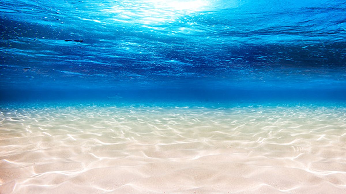 Se extraen 6 mil millones de toneladas de arena de los océanos cada año