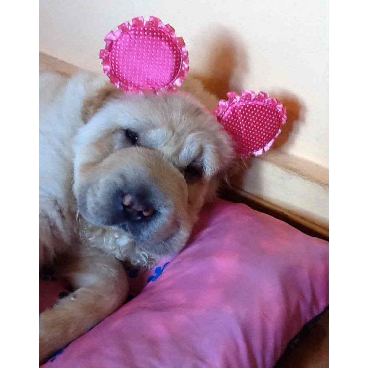 Valentina no deja dormir