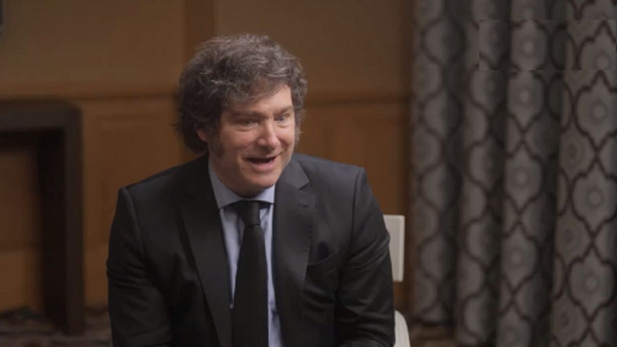 Javier Milei: Amo ser el topo dentro del Estado, yo soy el que destruye ...