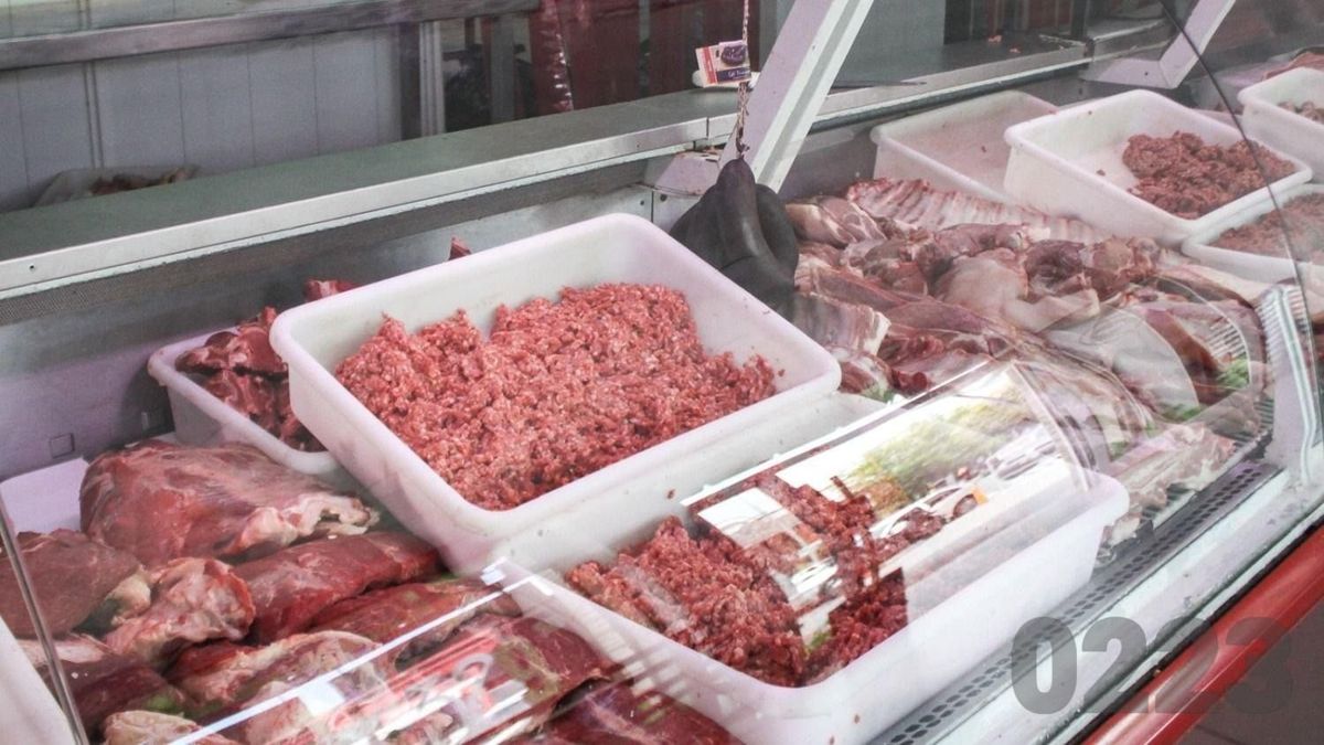 Mar del Plata: clausuran dos carnicerías que usaban carne de caballo