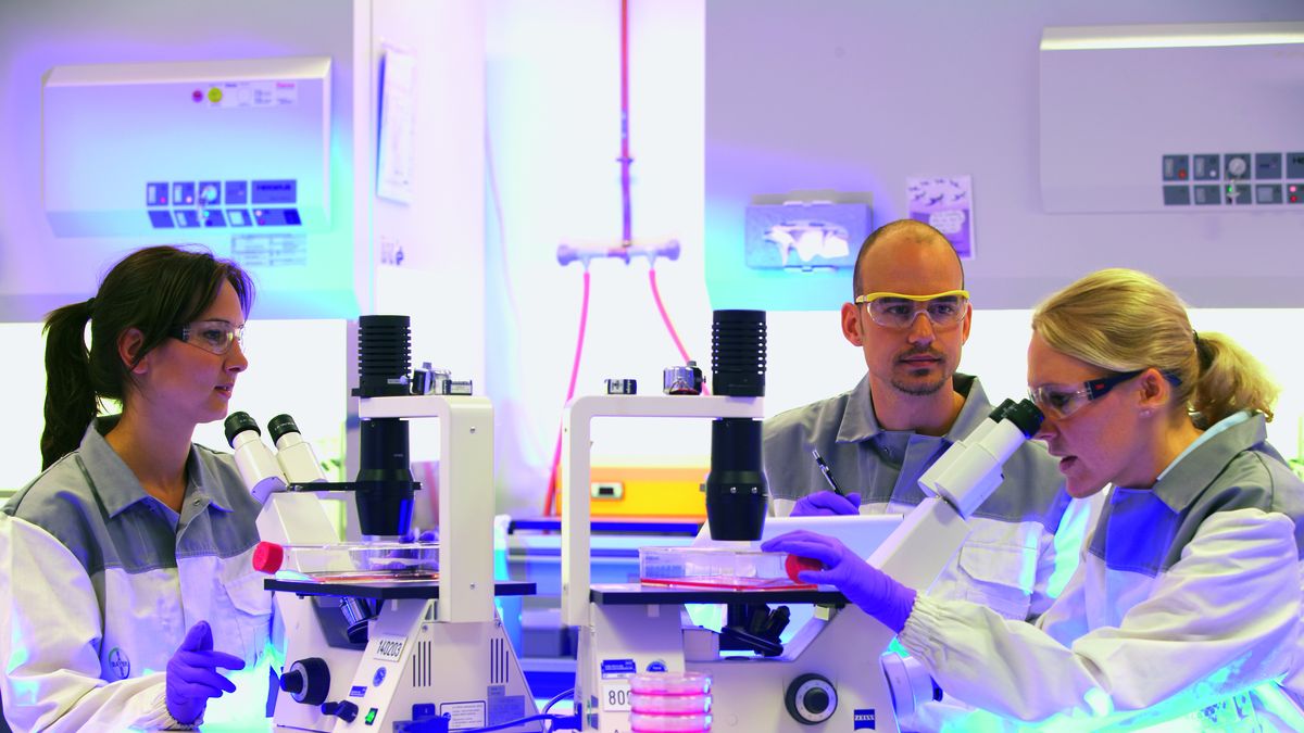 Bayer avanza con éxito para transformar más de 30 millones de vidas en ...