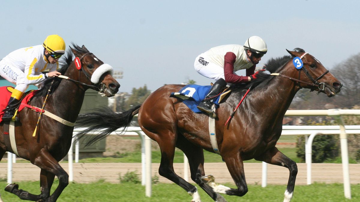 Marote Cat puede estar en su día