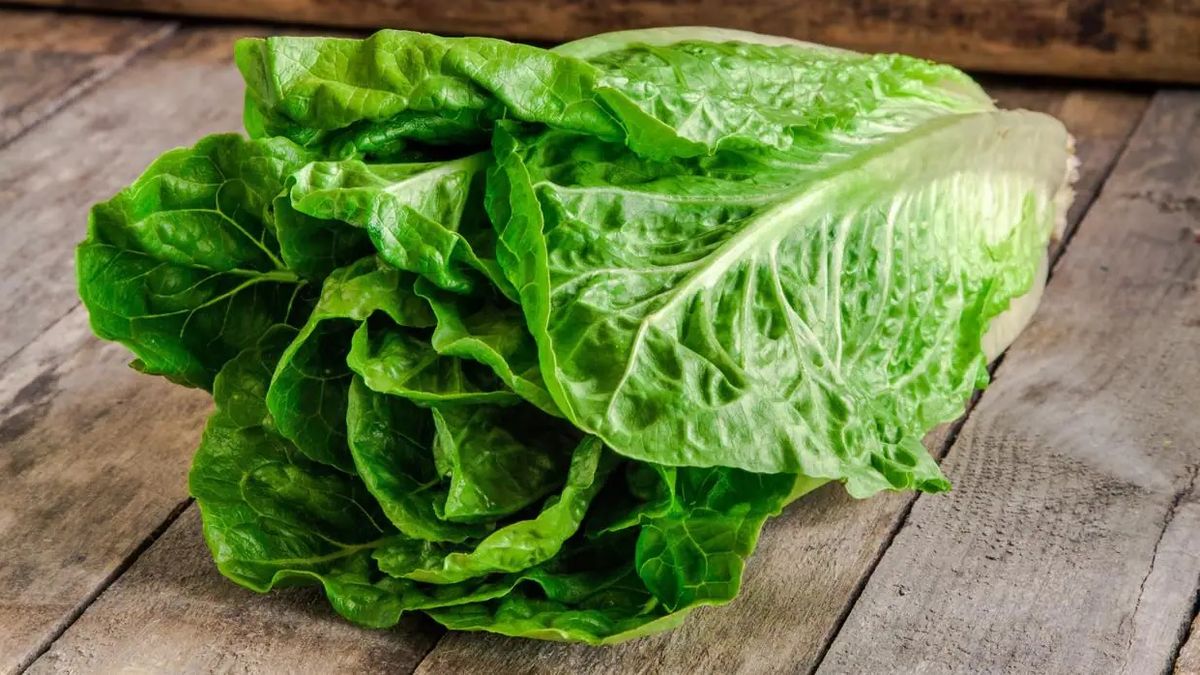 ¡De locos! Ahora la lechuga está más cara que el asado