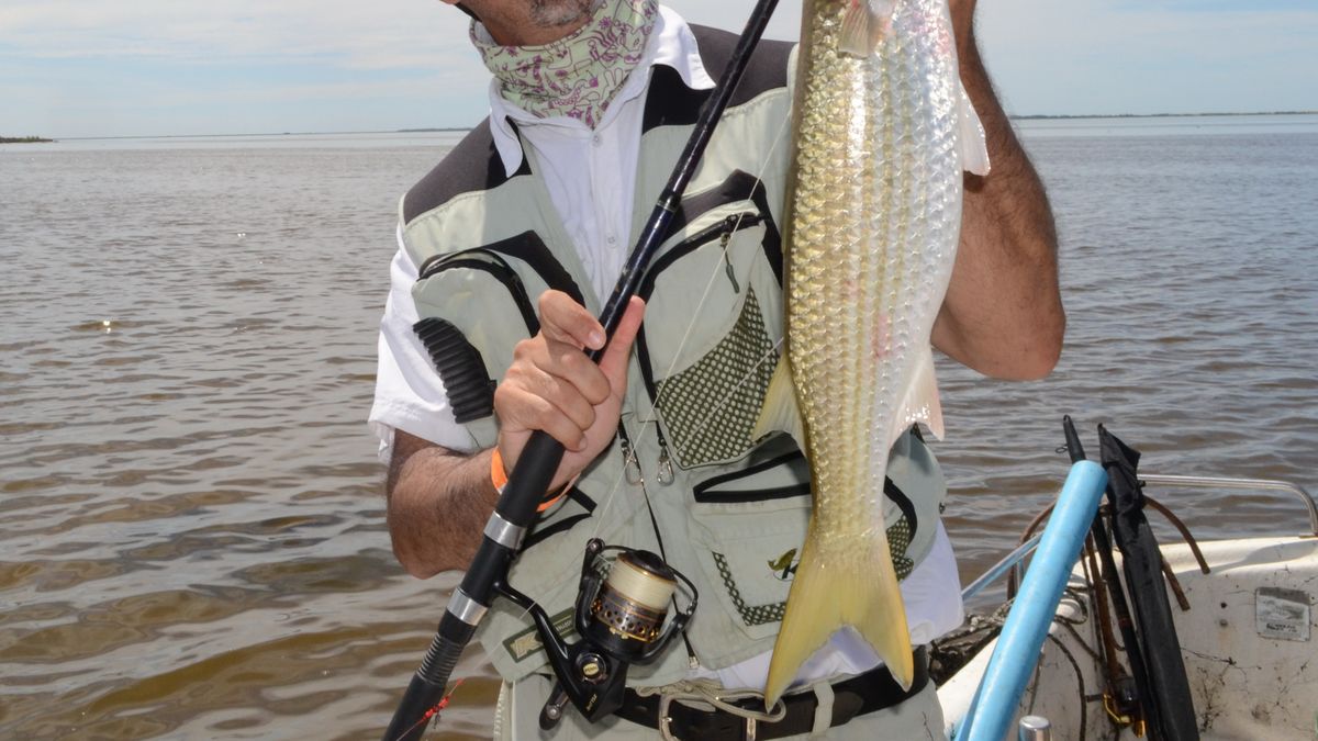 Parque de los Niños: balcón urbano a la buena pesca