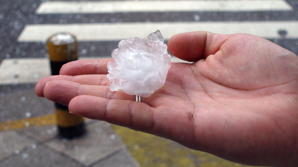 El granizo transporta vida de las nubes, según estudio