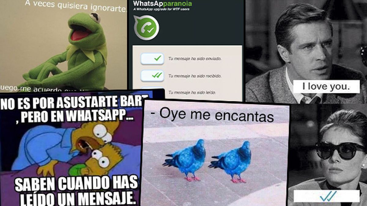 Memes Doble Check TikTok User Says She Got Job Rejection Reversed By
