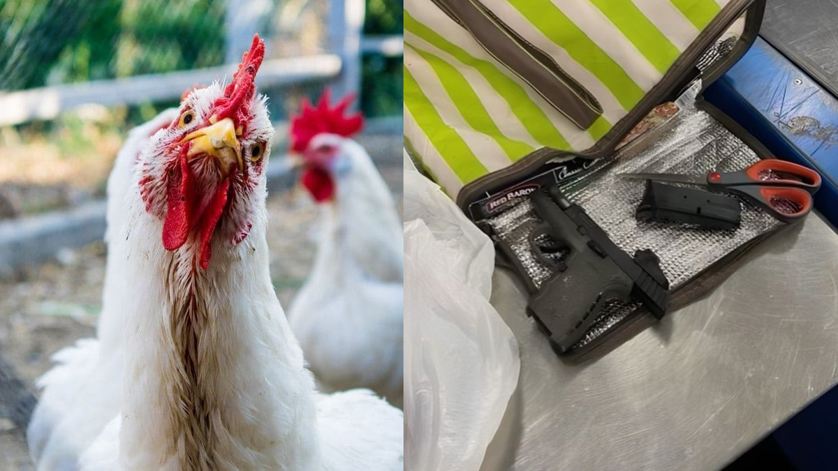 Quiso subir a un avión con un arma metida en un pollo y la detuvieron