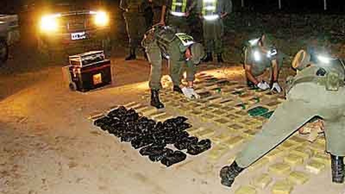 Impiden ingreso de semillas de marihuana al país