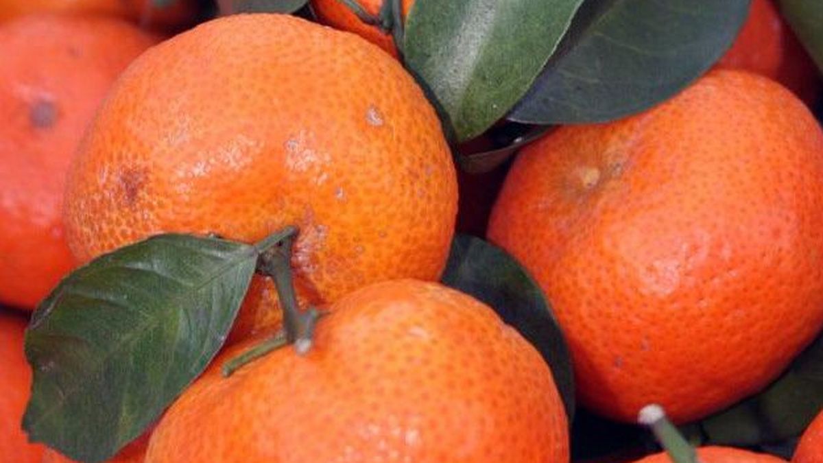 Una mandarina sale 19 veces más que el precio del campo