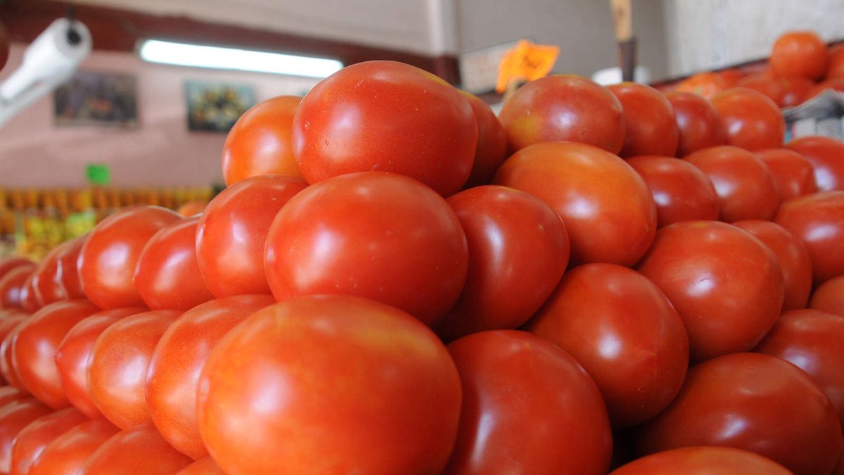 Estos precios están del tomate: el kilo hasta $ 350