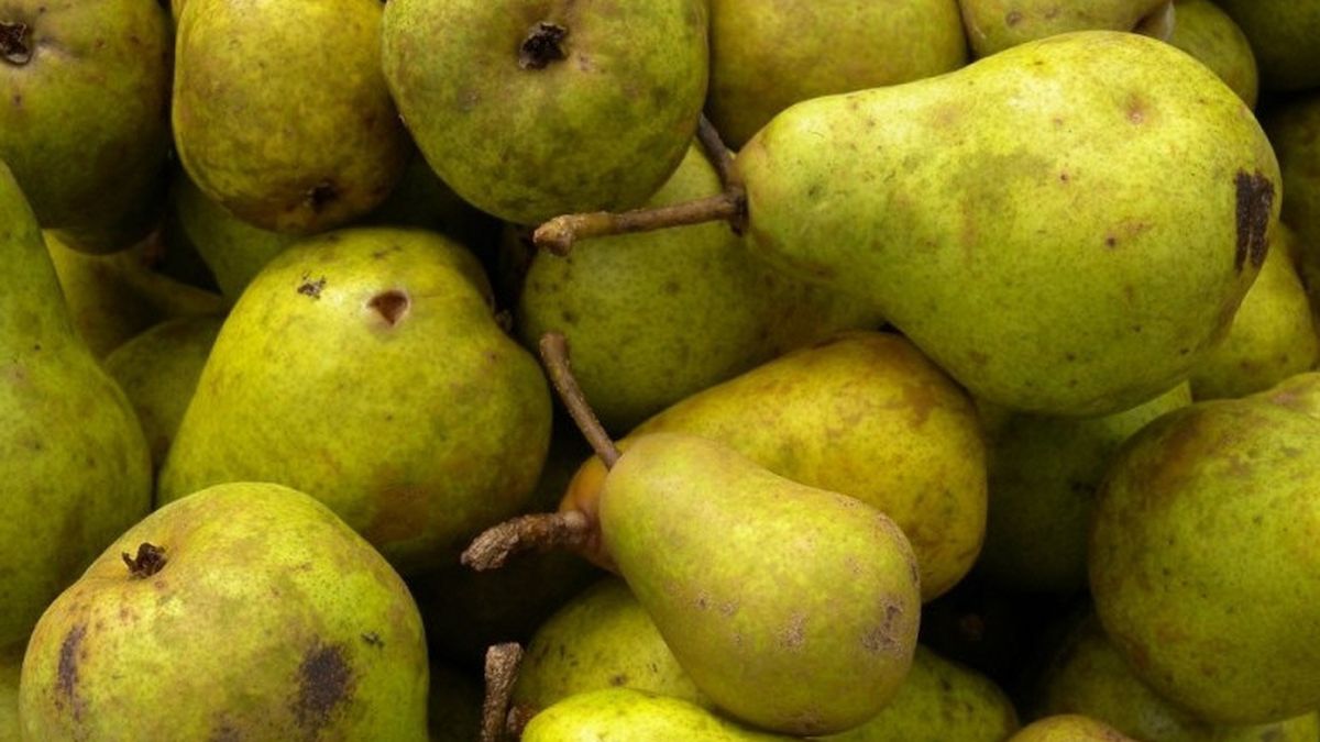 Las peras argentinas, preferidas en el mundo