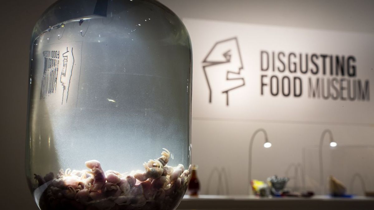 El museo de los alimentos más asquerosos, en fotos