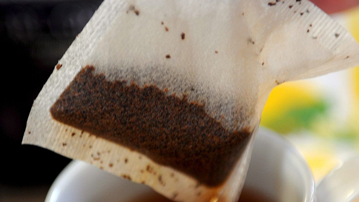 Té: ese sabor milenario