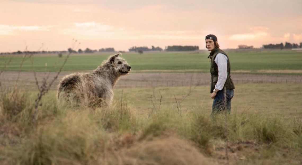 Las fotos de Iván de Pineda con su perro de 63 kilos que revolucionaron ...