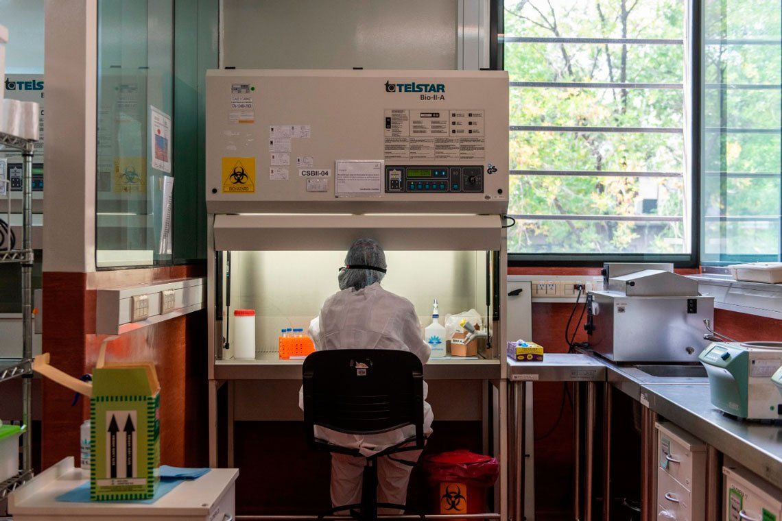 En fotos: así se analizan las muestras en el Instituto Malbrán