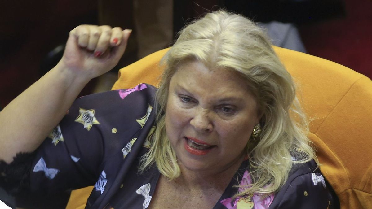 La furibunda crítica de Elisa Carrió contra Edenor y a Edesur por los ...