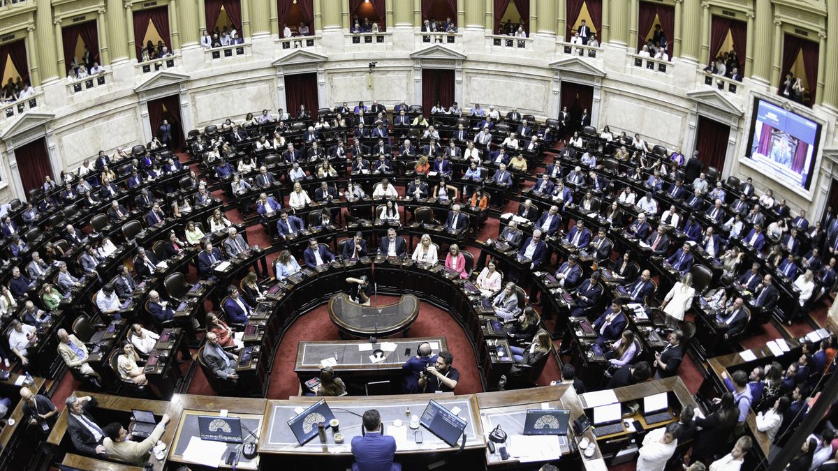 Diputados: por amplia mayoría, la oposición rechazó el veto a la ley de Emergencia en Discapacidad