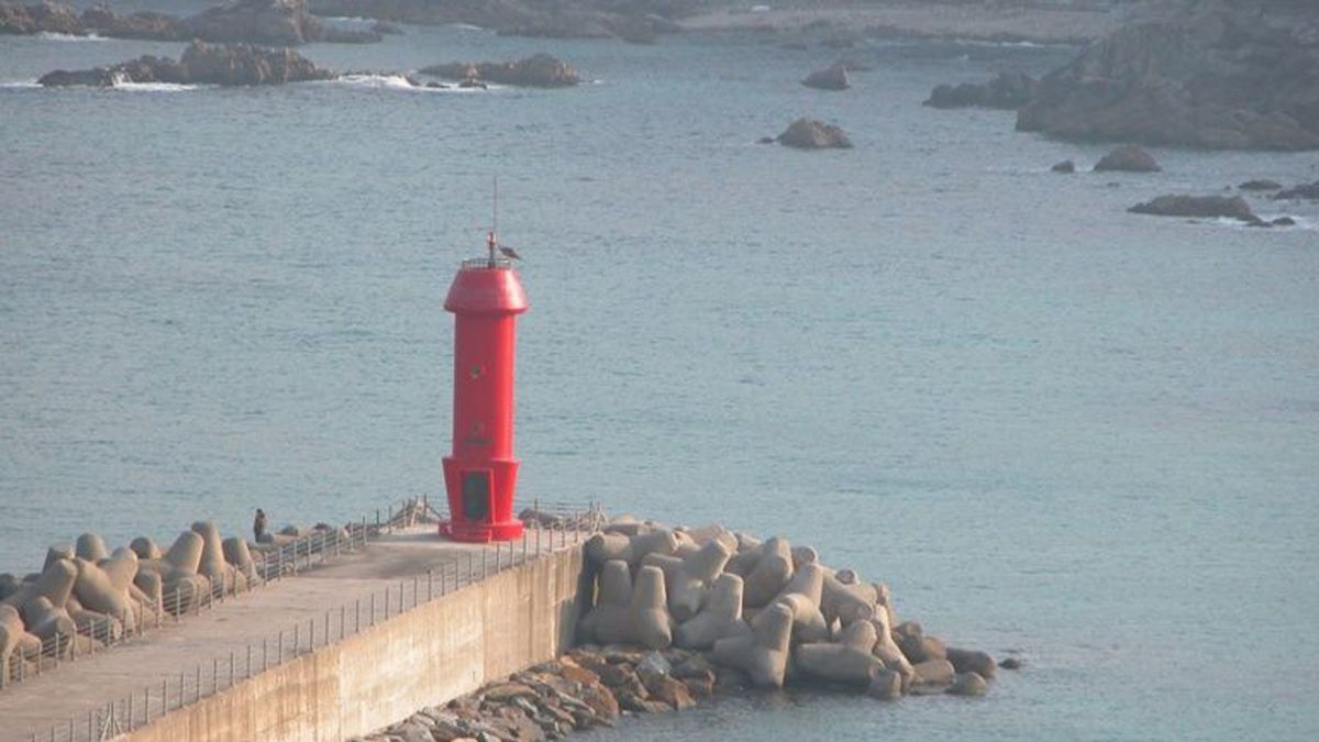 Penelandia: como Disney, pero para disfrutar del miembro masculino