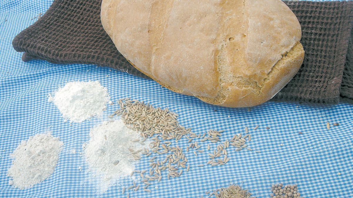 El pan alemán: un alimento famoso en el mundo