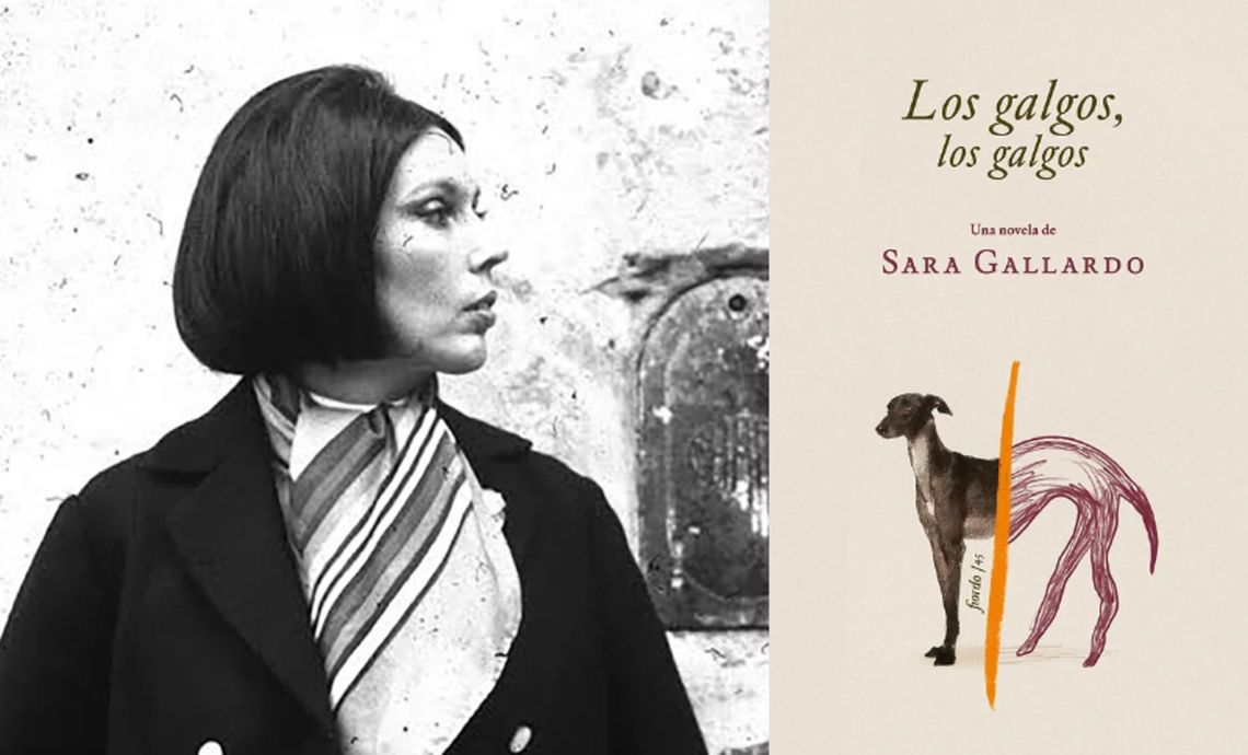 Sara Gallardo, una de las más notables escritoras argentinas del siglo ...