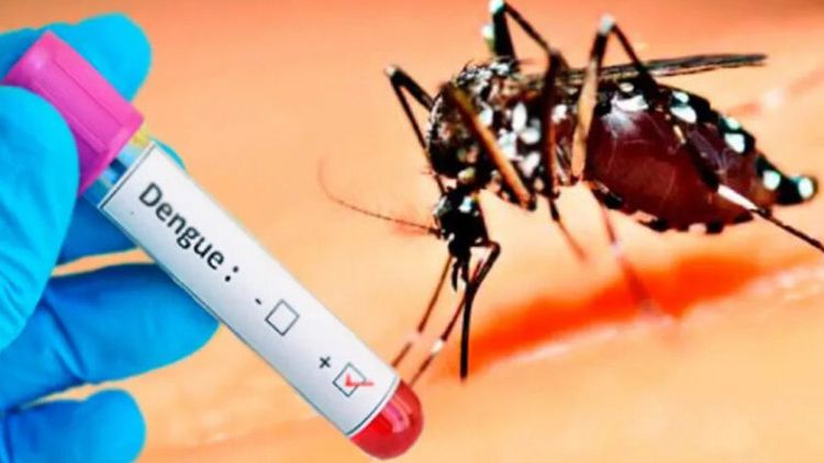 Salud - Diario Popular