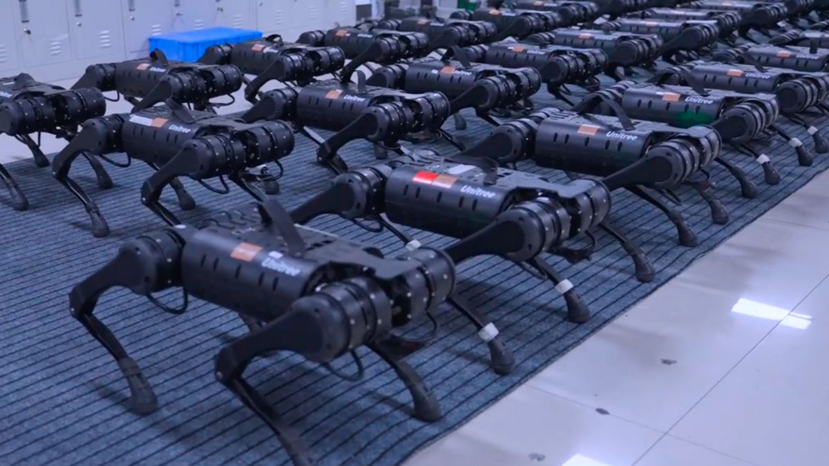 El temible ejército de perros robots en China