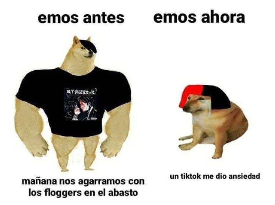 Los memes más divertidos del 2020: Cuántas veces los usaste