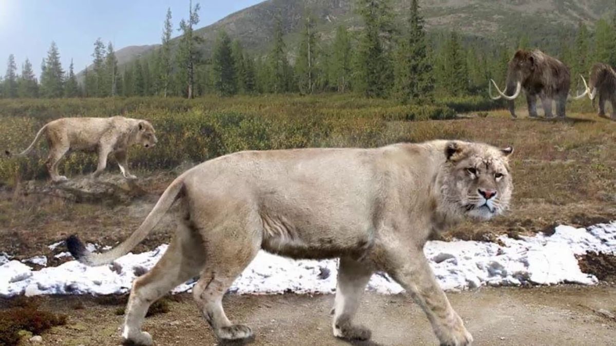 Hallan restos de animal prehistórico en excelente estado de conservación