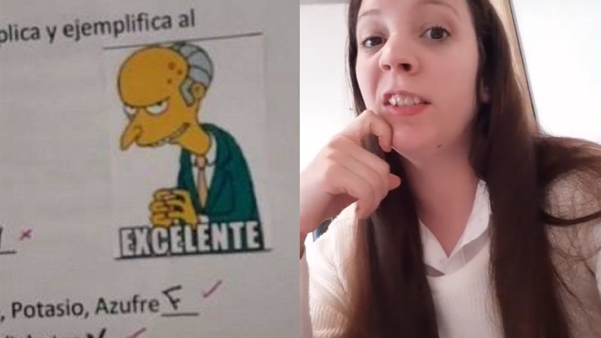 Concordia: una docente usó memes para corregir exámenes y se volvió viral
