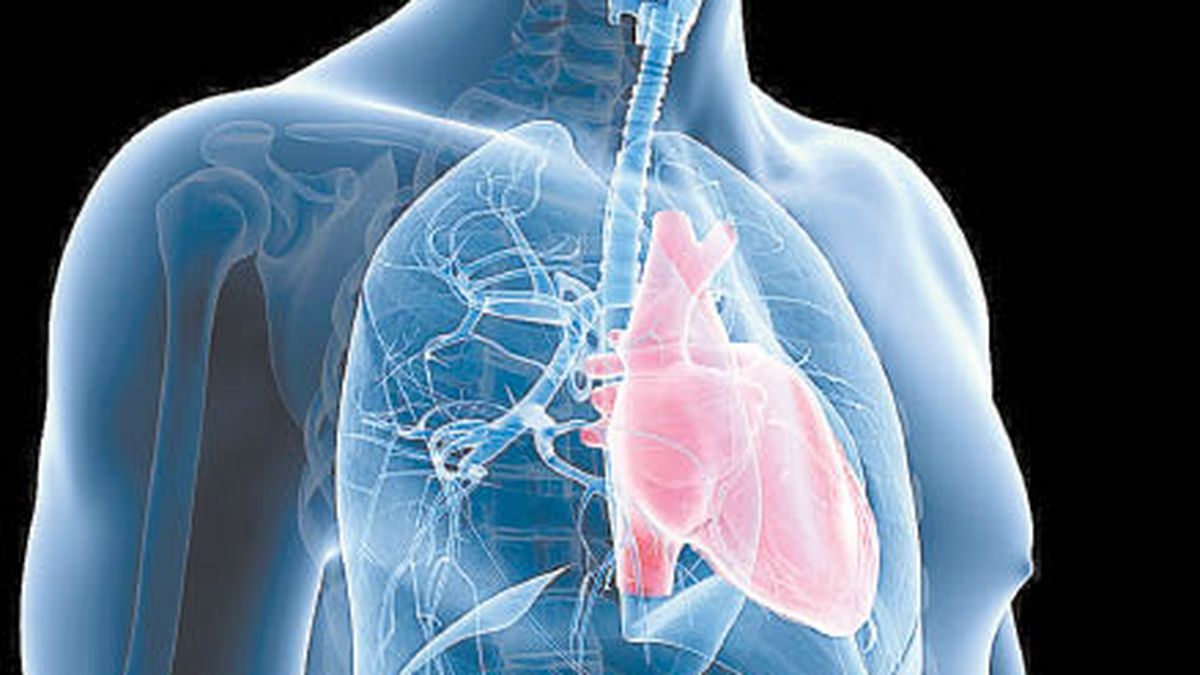 6 consejos para cuidar el corazón durante las Fiestas