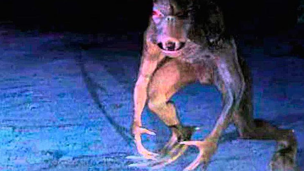 La pareja de ganaderos que conoció al chupacabras