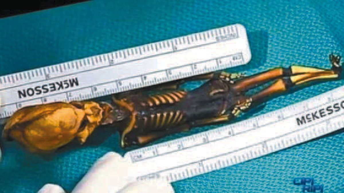 Polémica por el misterio del alienígena de Atacama