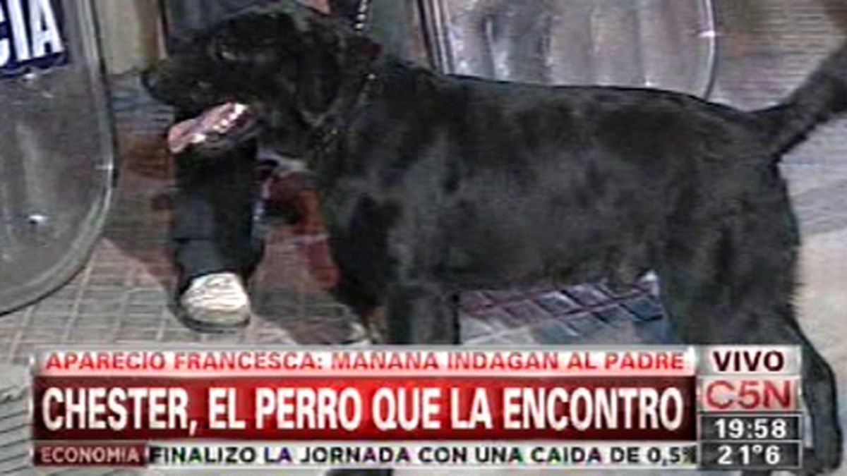 Chester, el perro que encontró a Francesca