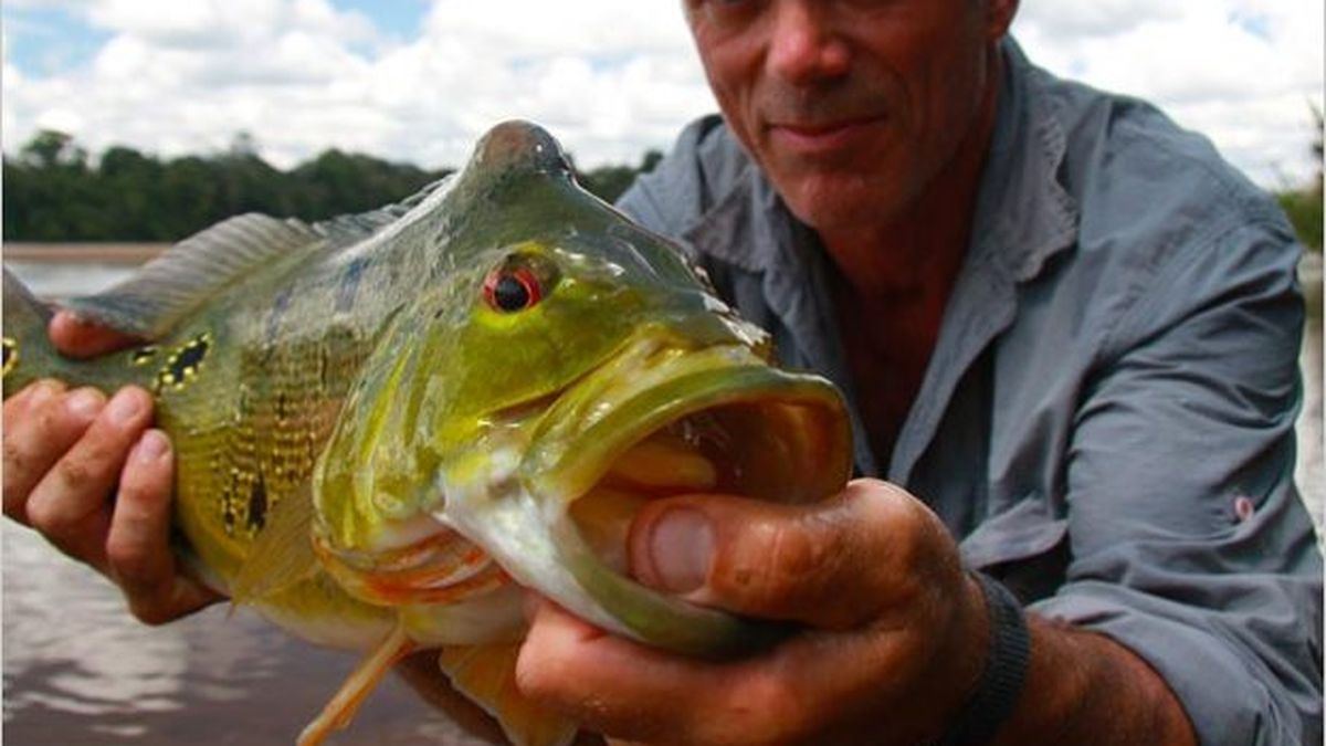 Jeremy Wade llega para pescar más Monstruos de Río por Discovery
