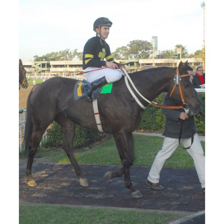 El programa completo del turf