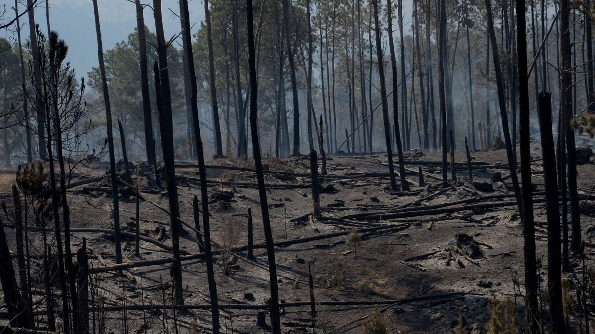Incendio en Córdoba: presentan plan de reconstrucción por los daños