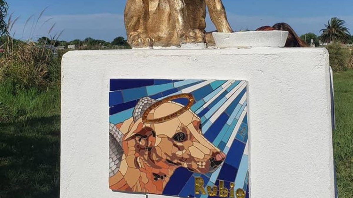 Rubio, el perro cruelmente asesinado por un comerciante que lo arrastró ...