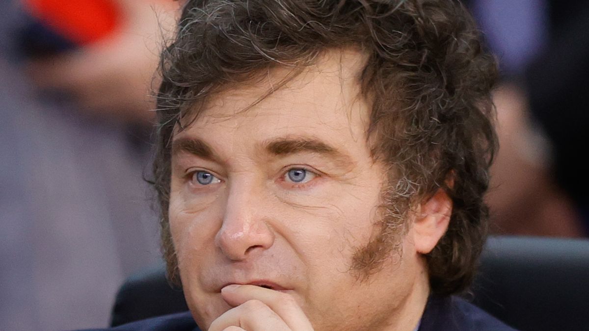 Fopea deplora las expresiones agraviantes y violentas de Milei hacia ...