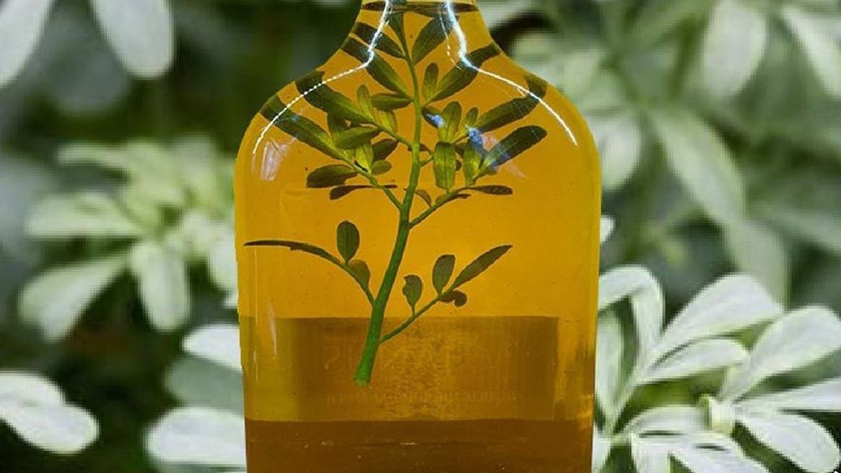 Día de la Pachamama: cuál es el origen del ritual de la caña con ruda