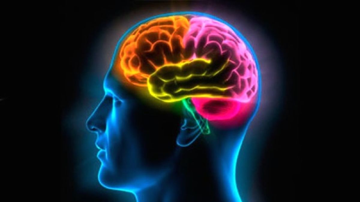 La inteligencia humana