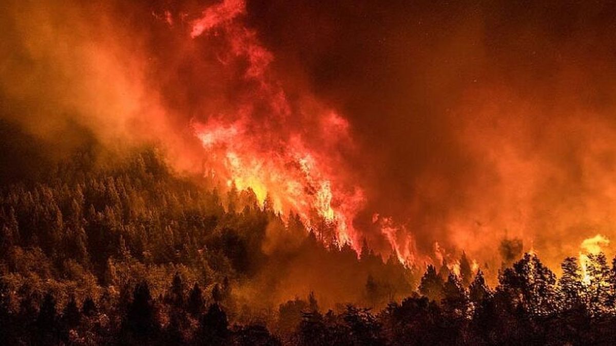 Incendios en Chubut: Epuyén declara el estado de catástrofe en medio de ...
