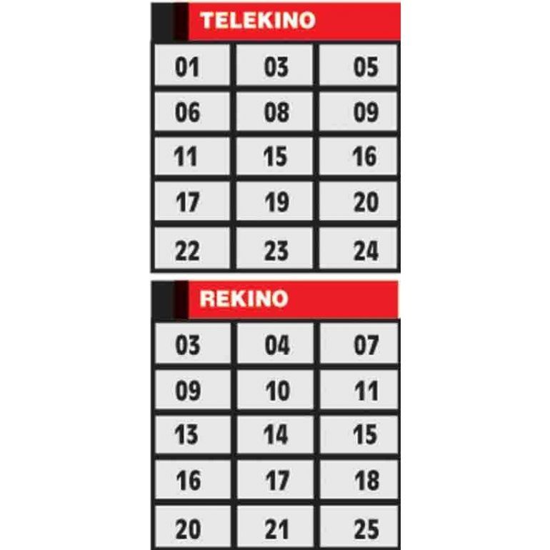 TELEKINO Y REKINO