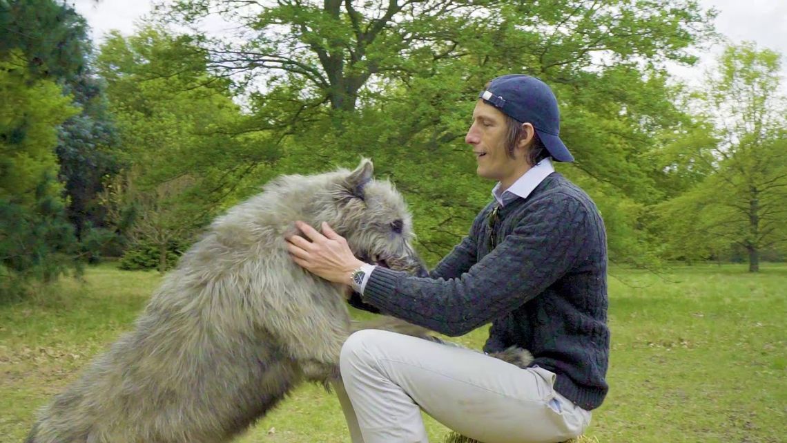 Las fotos de Iván de Pineda con su perro de 63 kilos que revolucionaron ...