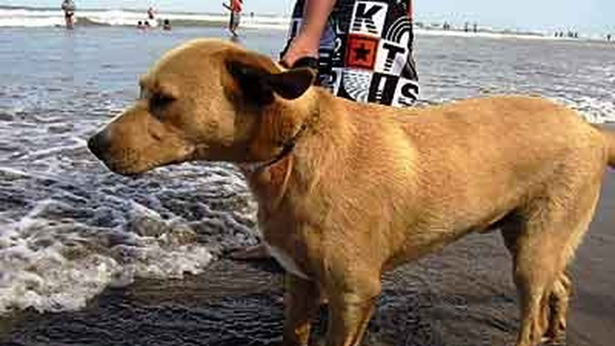 Teo, uno más de la familia