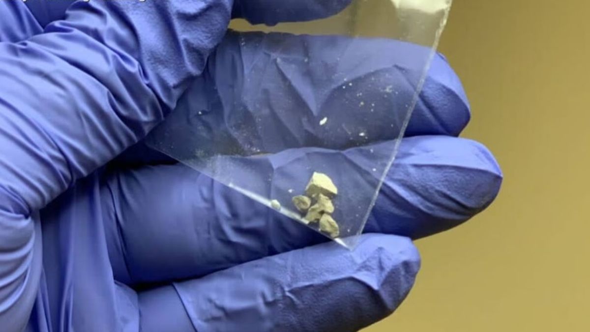 Alerta y terror por tranq, la droga que hace estragos