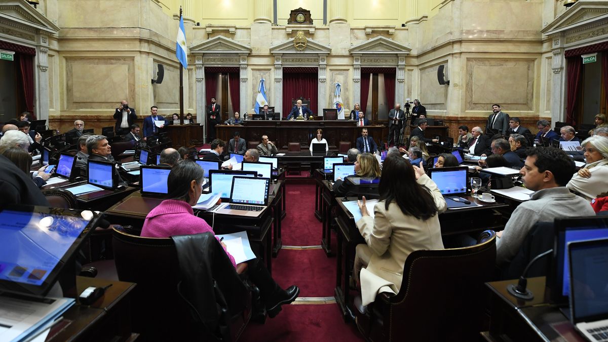 El Senado rechazó el veto a la emergencia en Discapacidad